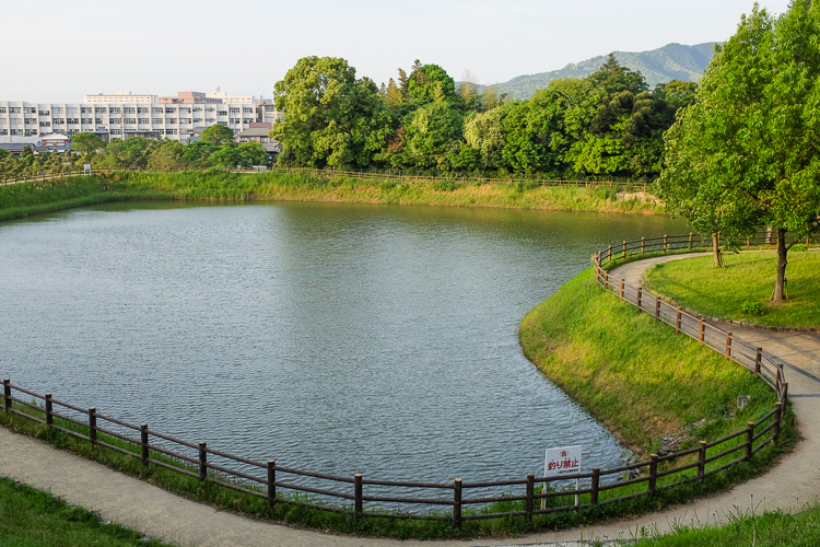 A Day in Kamitsu – Teacher/Jetsetter